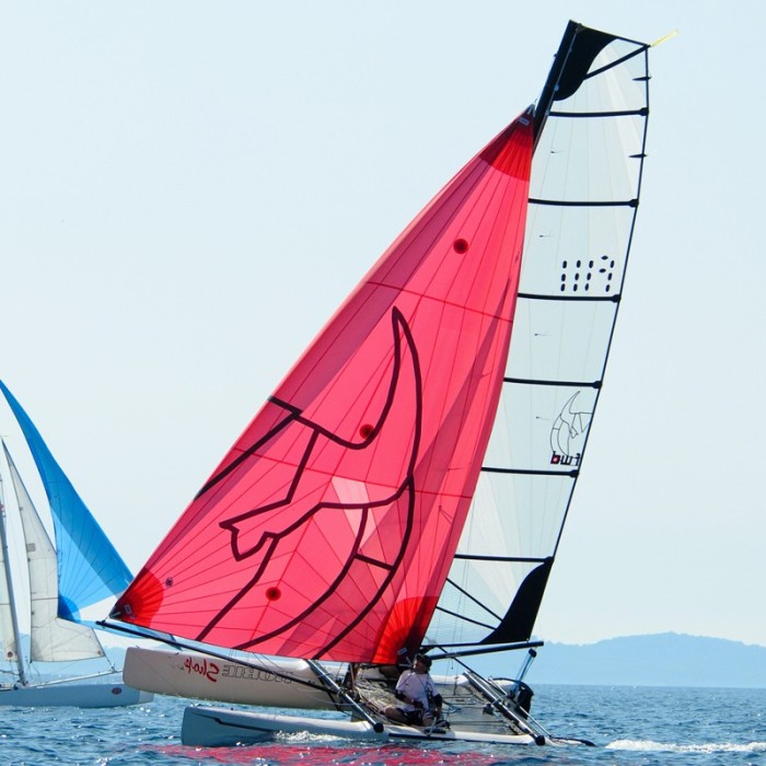 Großsegel für Sportkatamarane Hobie Cat Tiger, dark hawk, mattia plus ...